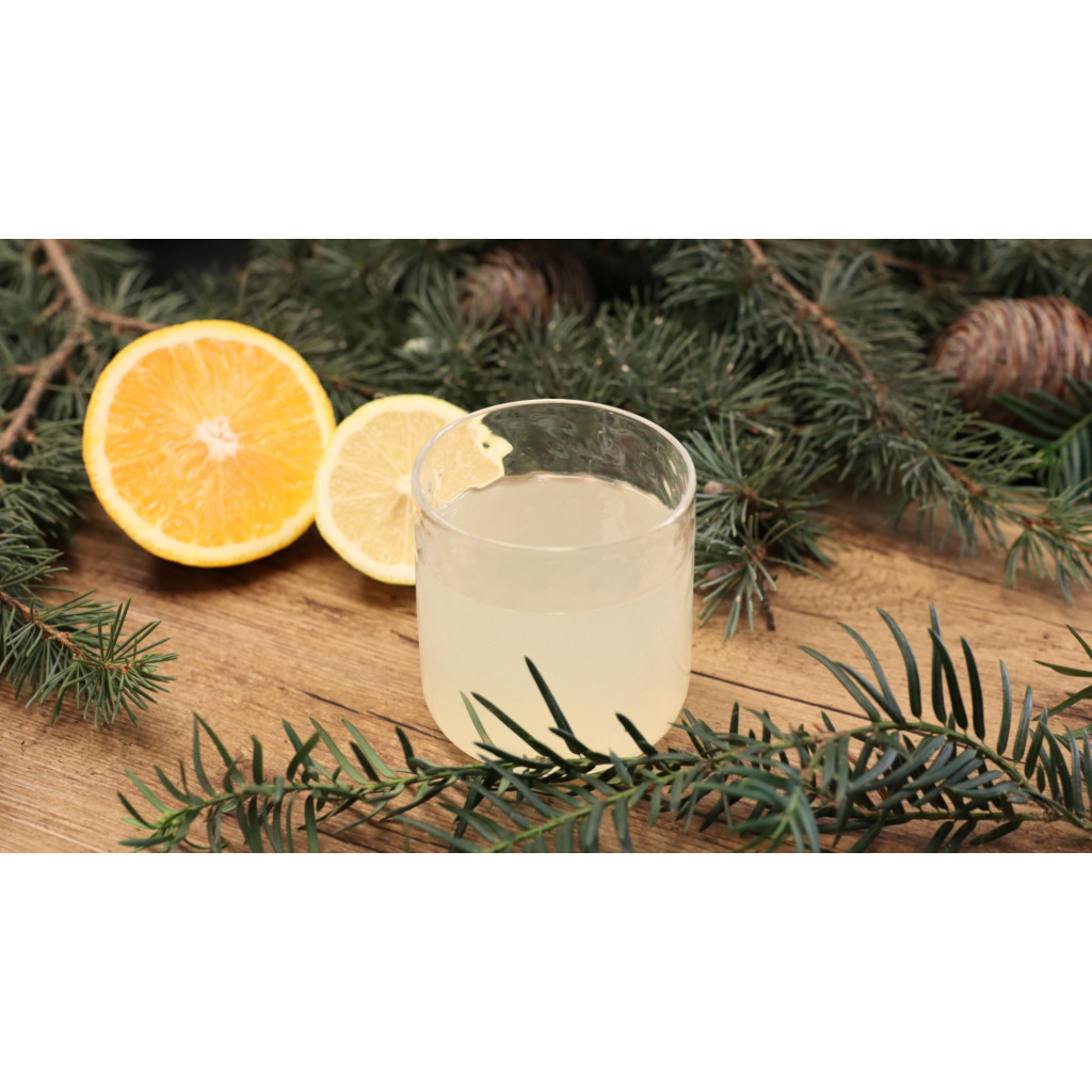 Recettes Boissons de Noël fermentées délicieuses avec Boboco